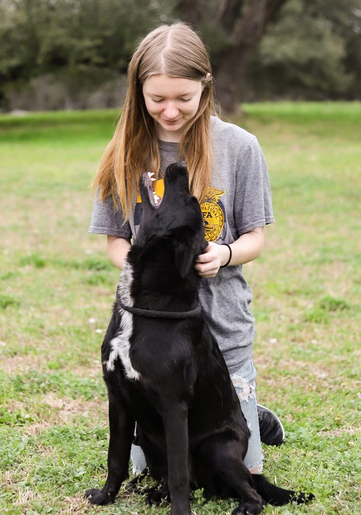 Our Staff – Fuzzy Friends Rescue